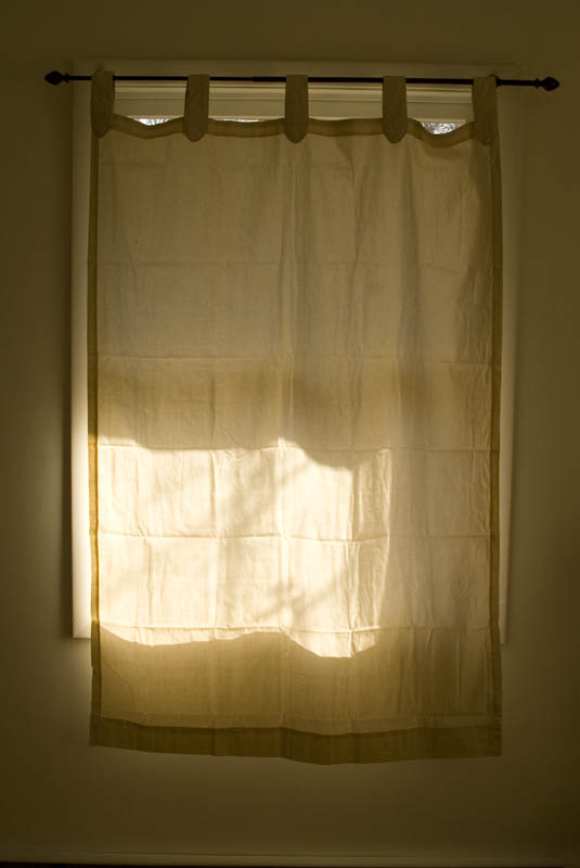 Home - Michael Levy
